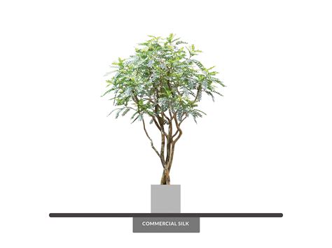 Fake Acacia Tree 6ft Artificial Outdoor Trees Commercial Silk
