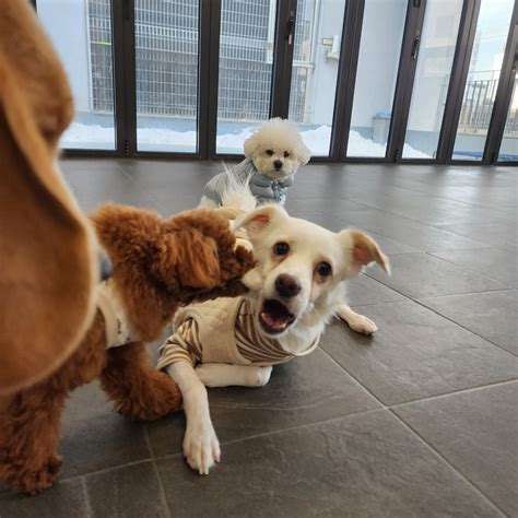 유치원에서 보내준 사진 보는데ㅋㅋㅋㅋ 짱공유닷컴 엽기유머