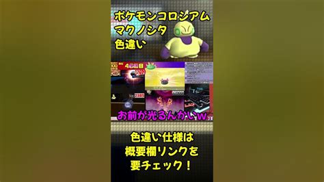 【ポケモンコロシアム】マクノシタ色違い出現！ Shorts Youtube