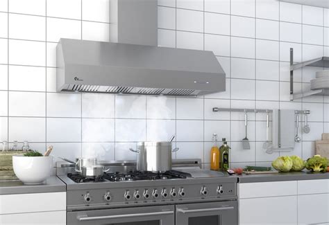 Campana Estractora Thermex Semi Profesional 1200 Mm Inox Con Motor