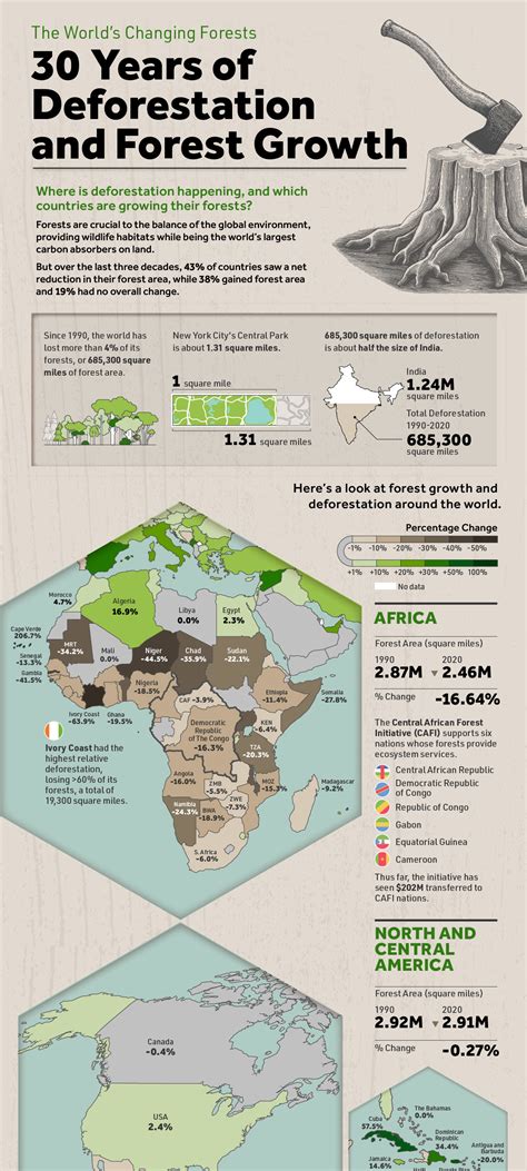 Solutions For Deforestation In Africa Auyemk