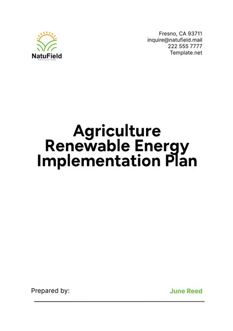 Free Implementation Plan Templates Editable And Printable