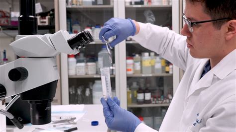 Video A Simple High Efficiency Protocol For Pancreatic Islet Isolation From Mice