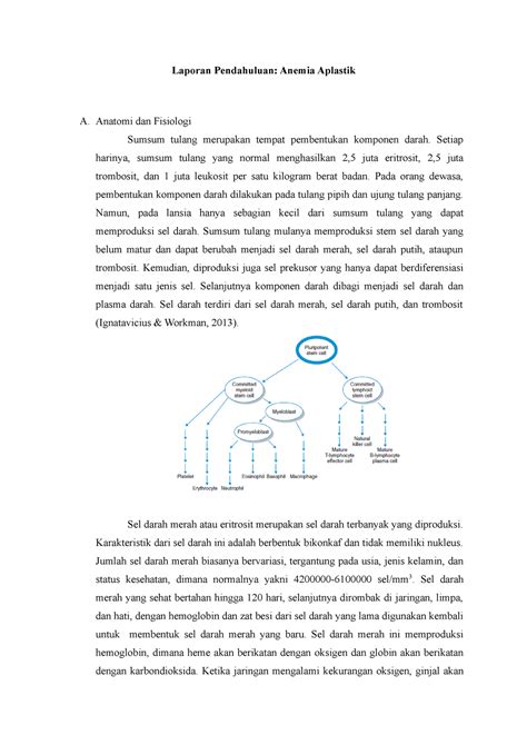 Laporan Pendahuluan Pansitopenia Laporan Pendahuluan Anemia Aplastik
