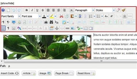 Joomla Editor Tips Joomla Blog Love Tips