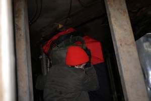 Photo: Activist sleeps atop gas chamber gondola - Farm Transparency Project | Australian animal ...