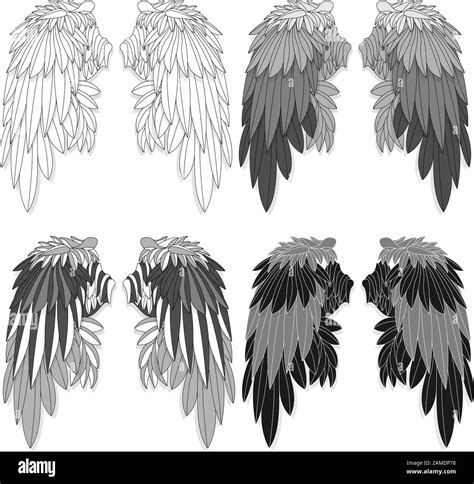 Bird Wings Set Isolated On A White Background Vector Illustration
