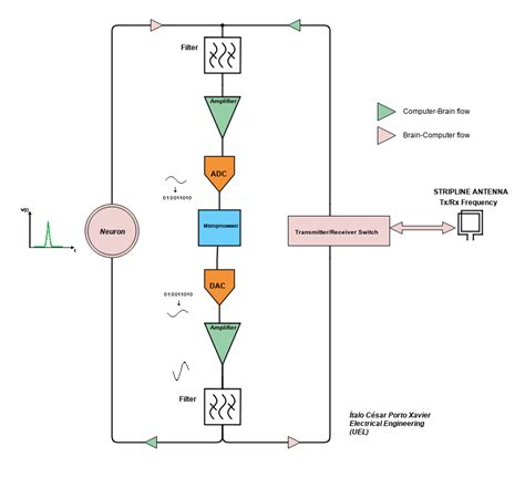Neuralink From Elon Musk Is Literally Mind Blowing By Ítalo César P