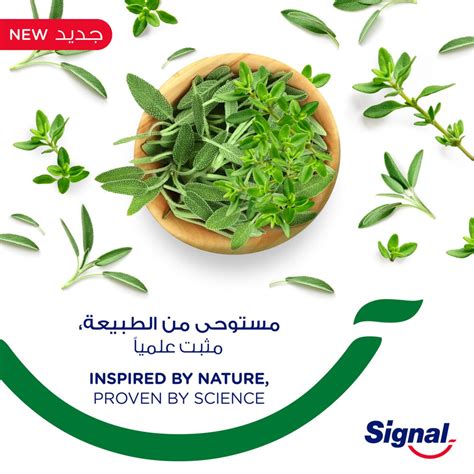 Signal Complete 8 Nature Elements Toothpaste Herbal 75 Ml Online At