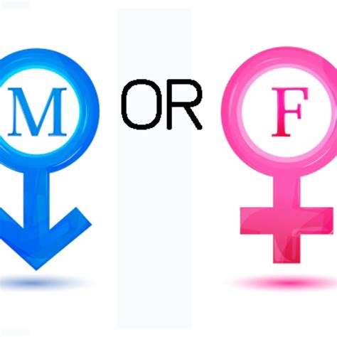 Gender Recognition By Voiceoriginal Kaggle