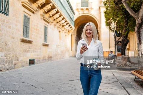 Maltese Adult Photos And Premium High Res Pictures Getty Images