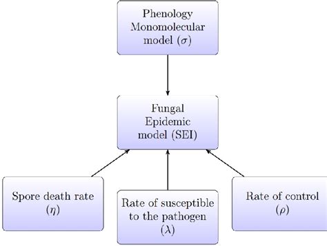 Figure 3 From Digitalized Biomathematical Models For The Dynamic