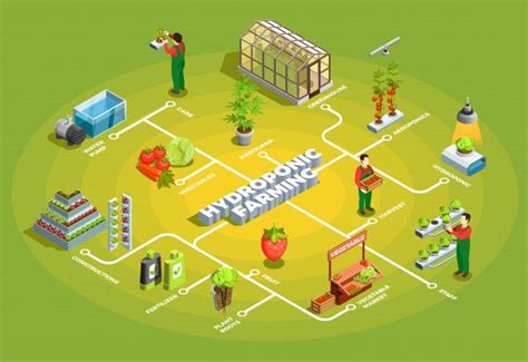 Ebb And Flow Hydroponics Hydroponic Farming Hydroponics System Aquaponics Indoor Hydroponics