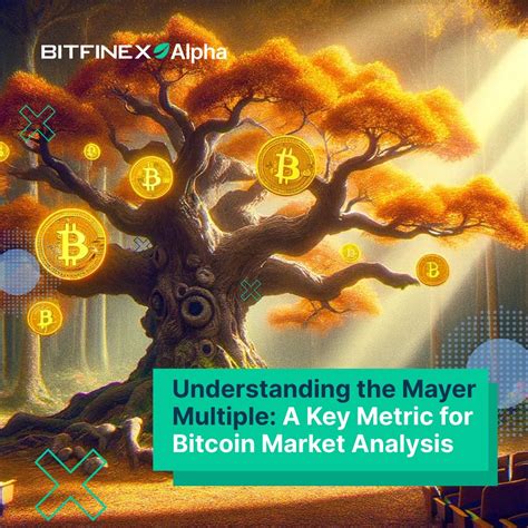 bitfinex on linkedin bitcoin
