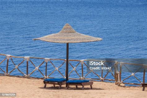 이집트 샤름 엘 셰이크의 리조트의 모래 해변의 붉은 바다 옆에 나무 일광욕용 라운저가 비치된 밀짚 우산 0명에 대한 스톡 사진 및 기타 이미지 Istock