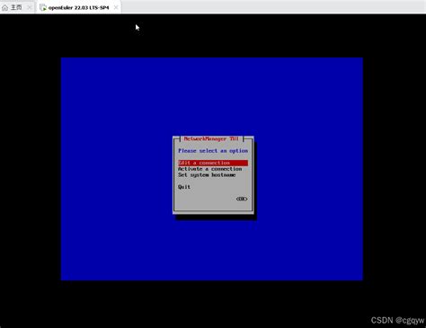 虚拟机安装openeuler、linux系统常见问题 1 网络不通openeuler虚拟机网络连接ping不通怎么办 Csdn博客