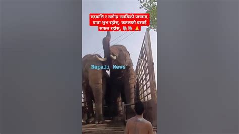 रुद्रकलि र खगेन्द्र खाडिको यात्रामा यात्रा शुभ रहोस् कतारको बसाई सफल