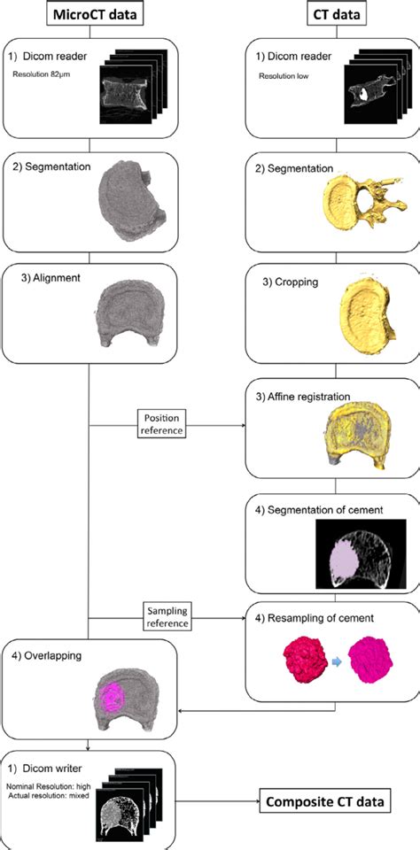 image processing workflow for generation of composite time lapsed ct
