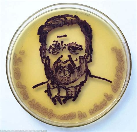 Eman Askar On Linkedin Art Of Microbiology