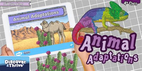 Adaptations Powerpoint 4th Class