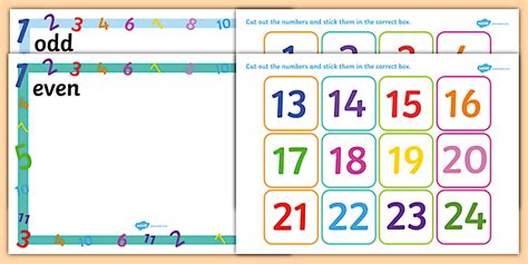 Editable Odd And Even Number Sorting Activity Teacher Made