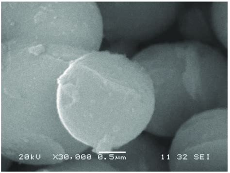 Sem Micrograph Of Pt Powder Calcined At 350 • C For 10 H Download