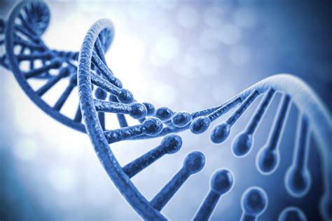 7 mistérios da Biologia que intrigam os cientistas até hoje Fatos