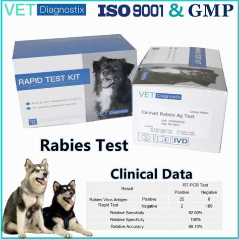 Veterinary Test Kit Canine Rabies Ab Rapid Diagnostic Test China