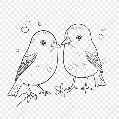 색칠 페이지 개요 스케치 드로잉에서 나뭇가지에 앉아 있는 두 마리의 새 벡터선 그리기라인 아트 Png 일러스트 무료 다운로드 Lovepik