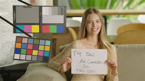 Davinci Resolve Color Management On Alexa DaVinci Resolve Lowepost