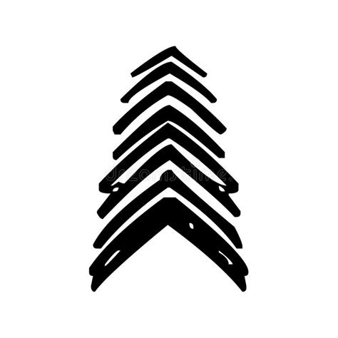 Coniferous Tree Conifer Pine Fir Juniper Spruce Nature Graphic