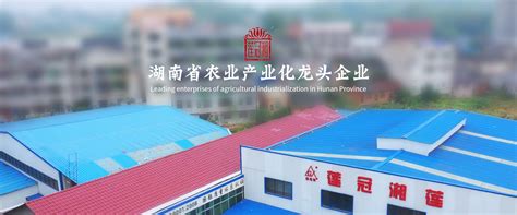 湖南莲冠湘莲食品股份有限公司【官网】湖南莲子湘潭莲子湖南湘莲湘潭湘莲