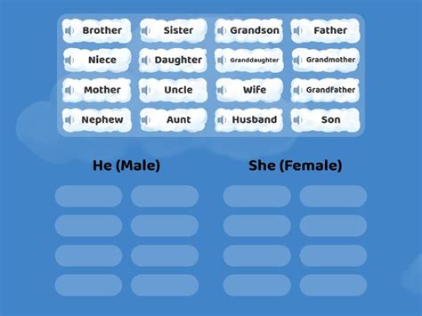 Sound Family Member He She Sorting Group Sort
