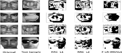 figure 5 from high throughput robust face recognition using svd