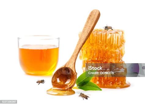 蜂巢與蜜蜂和蜂蜜勺隔離在白色橫幅背景 蜜蜂產品有機天然成分概念 照片檔及更多 六角形 照片 六角形 大口瓶 大自然 Istock
