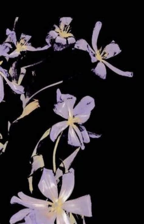 Ashlynxaiden Stories Wattpad