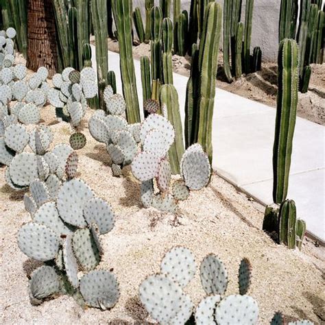 Patrick Strattner Photography Community Art Photography Coachella Valley