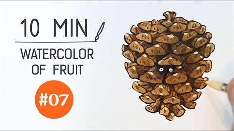 【水彩插畫 簡單畫07】松果小精靈 Watercolor Illustration Pinecone By Afu Youtube