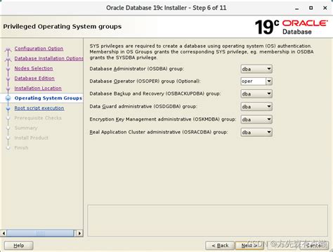 基于 Vsphere 环境安装 Oracle19c Rac 详细过程记录一次在vmware Esxi6虚拟机环境下搭建oracle的rac的过程 Csdn博客