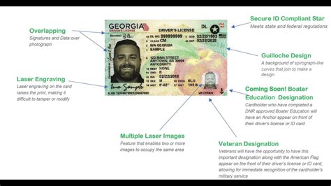 Georgia Driver License Example