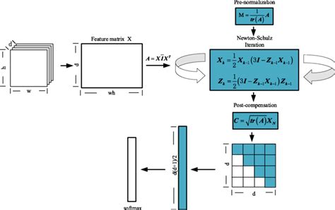 Second Order Covariance Pooling Using Newton Schulz Iteration To