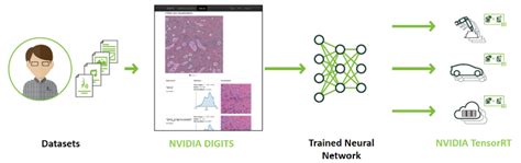 Train And Deploy Deep Learning Applications With Nvidia Digits 5 And