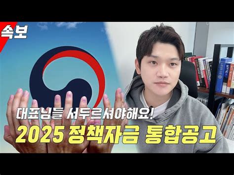 2025년도 정부지원사업 소상공인 정책자금 총정리