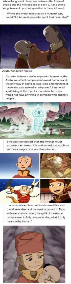 Pin By Alicia Awkward Potato On Avatar The Last Airbender Avatar The Last Airbender Funny
