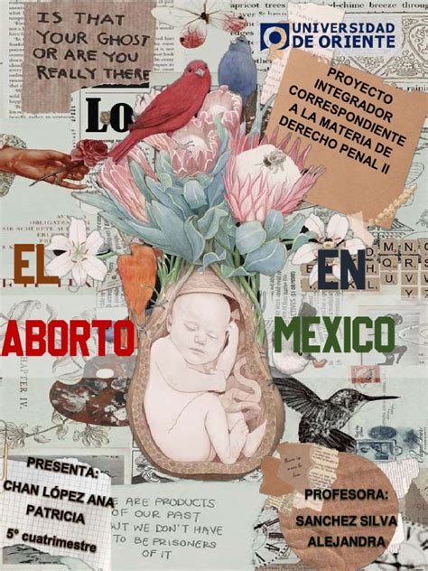 Aborto En Mexico Pdf Aborto Control De La Natalidad