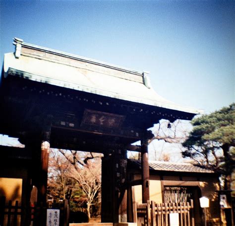 貓奴日本必逛！東京「豪德寺」上千隻招財貓萌爆 可以帶回家 │ 旅遊頻道 │ 三立新聞網 Setncom