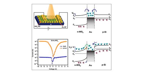 Highly Suppressed Dark Current And Fast Photoresponse From Au Nanoparticle Embedded Si Au Ws2