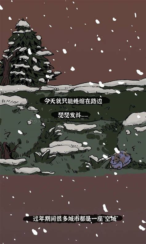 “把猫扔了，我就回家过年。”猫咪