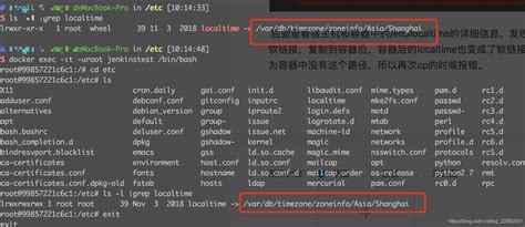 Docker容器时间同步复制主机的localtime失败（软链接）docker V Locatime不起作用 Csdn博客