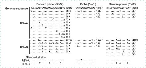 Sequence Alignments Of Primer And Probe Regions Of All Available Rsv